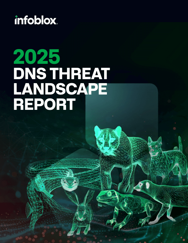 Infoblox 2025 DNS Threat Landscape Report