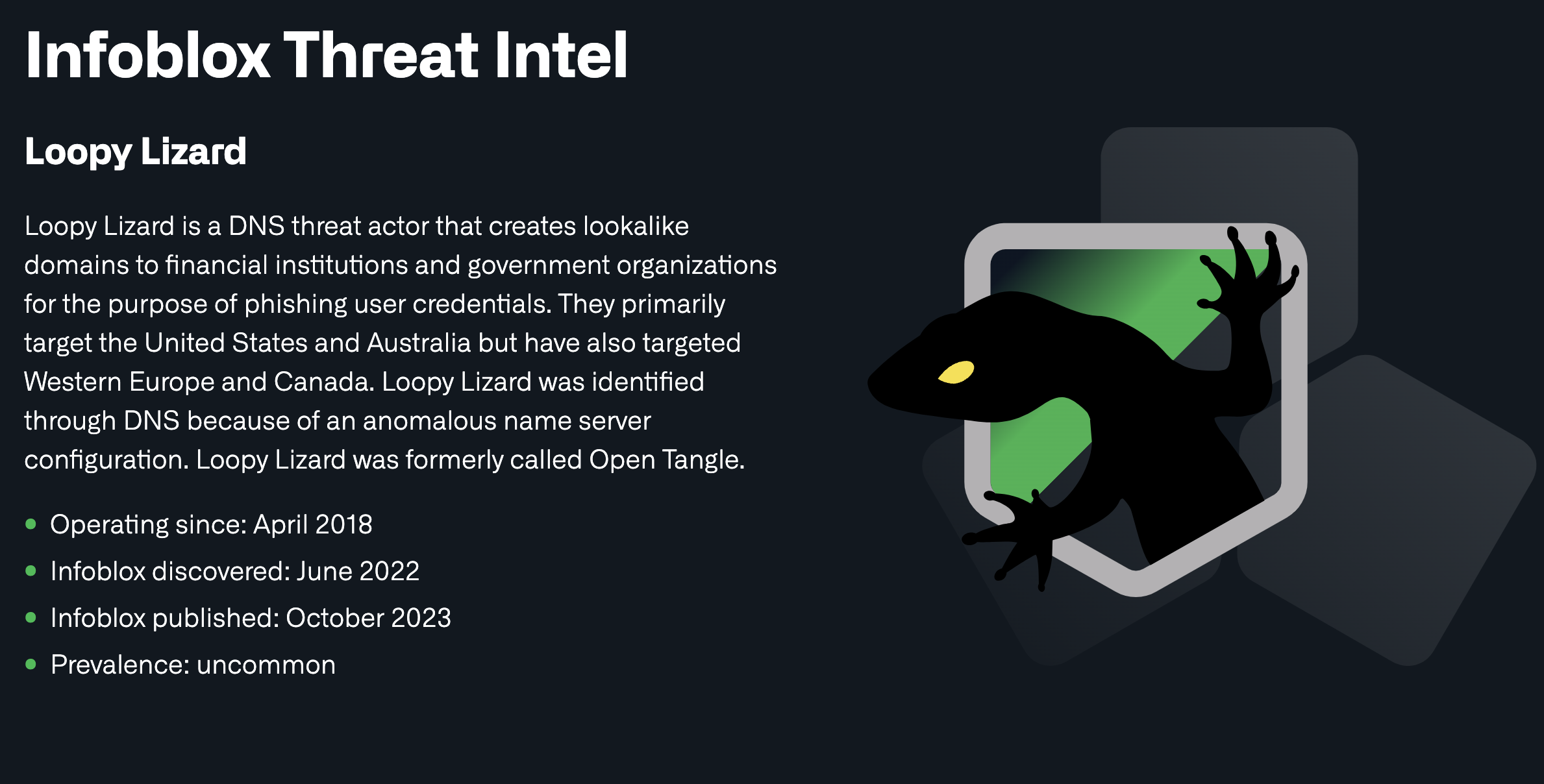 Loopy Lizard - 消費者フィッシング攻撃の背後にいる DNS 脅威アクター