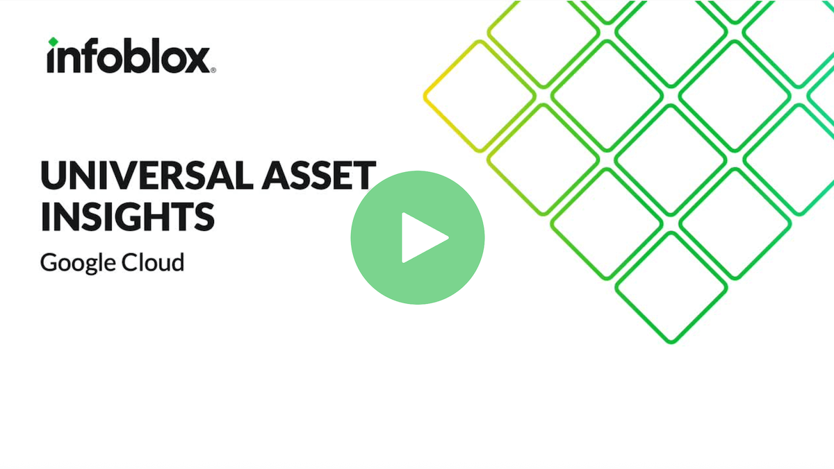Google Cloud 用 Universal Asset Insights | Infoblox